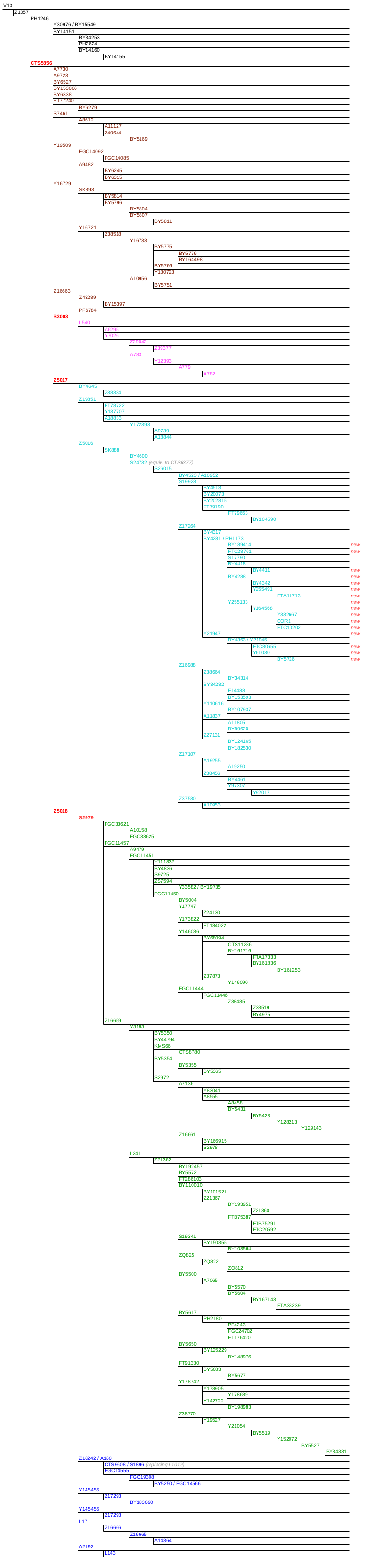 V-13 from Marsh Arabs/Iraq?? | Eupedia Forum